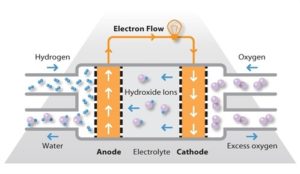 AFC - FuelCellsWorks