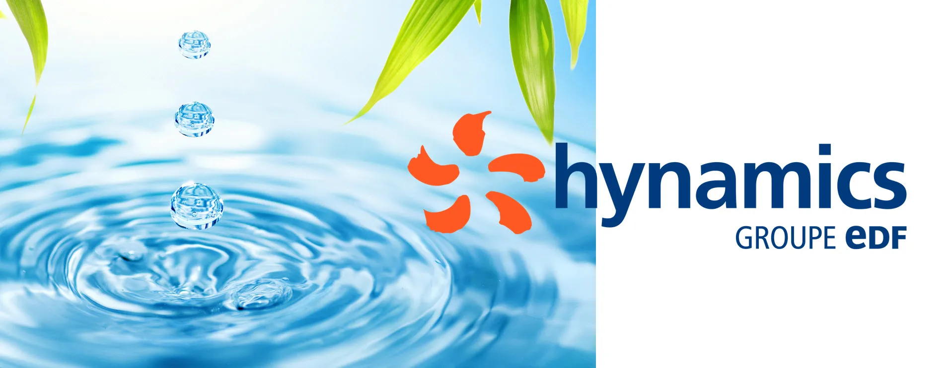 EDF Launches Hynamics, a Subsidiary to Produce and Market Low-Carbon ...