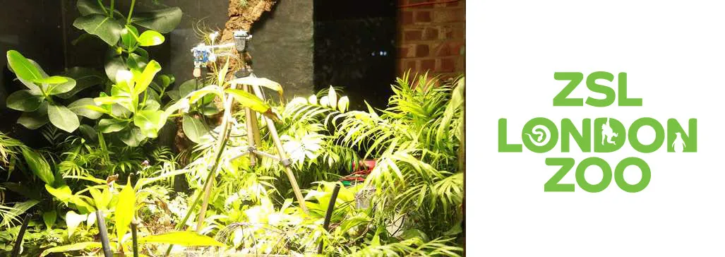 Fern Called Pete Takes World's First Plant Powered Selfie Using ...