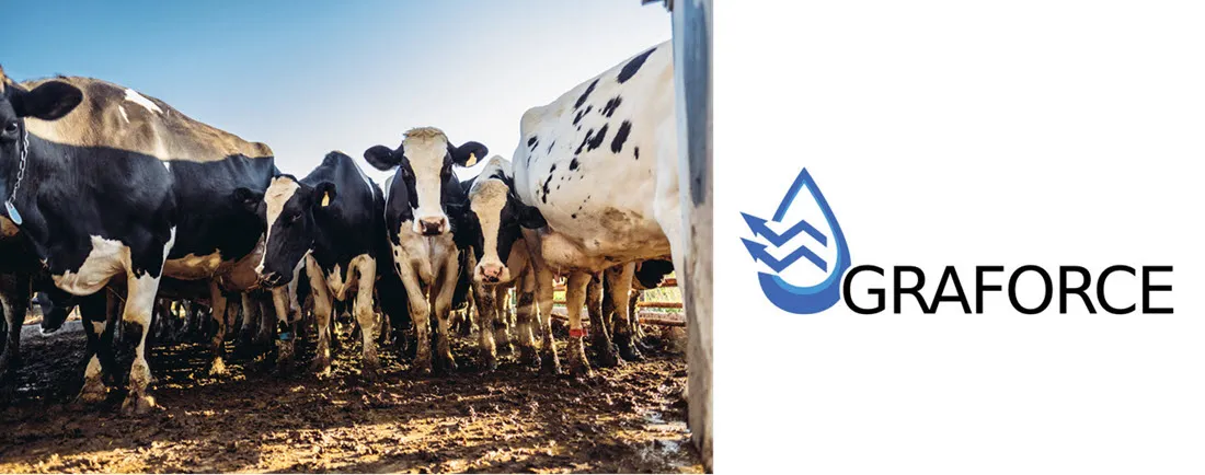 New tech turns manure into hydrogen