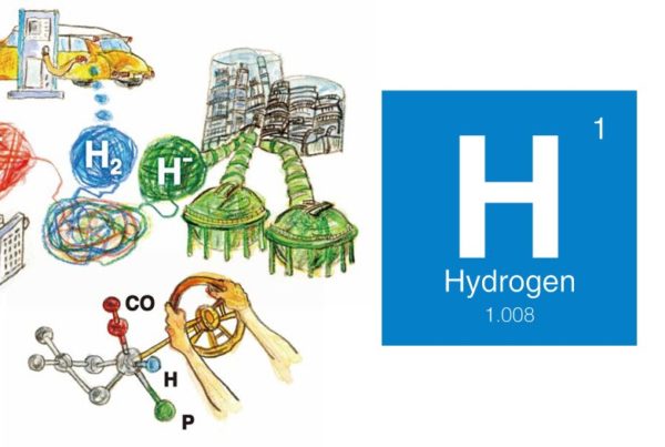 Phillips 66, Uniper and Vitol’s VPI Immingham enter MOU to develop decarbonisation, Hydrogen ...