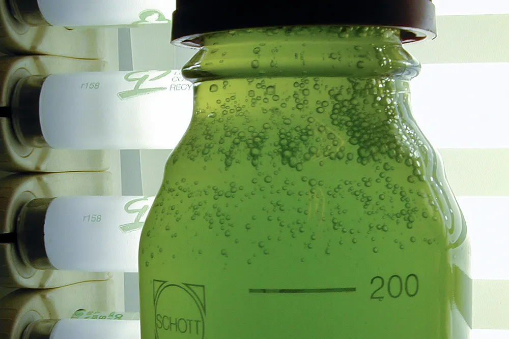 Development of Hydrogen Extraction Technology from Deep Sea Microorganisms