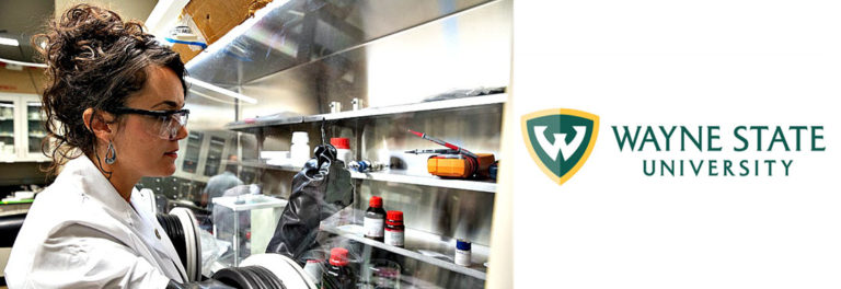 Wayne State University Engineering Professor Receives DOE Grant To ...