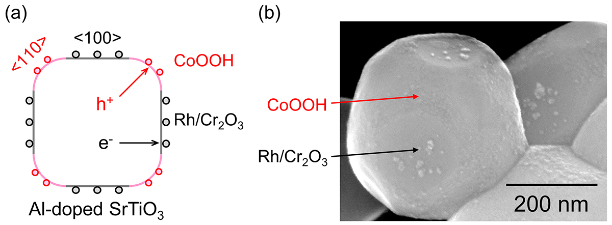 Photocatalyst That Can Split Water Into Hydrogen And Oxygen At A ...