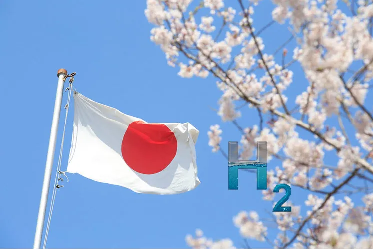 Tokuyama and Panasonic Start the Demonstration of Pure Hydrogen Fuel ...