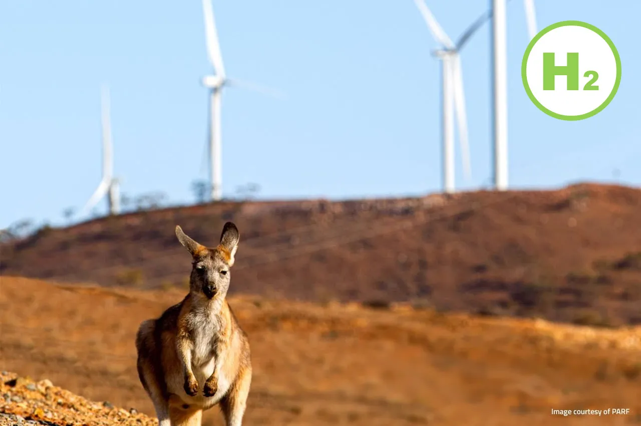 Plans to Build World's Largest Hydrogen and Solar Energy Hub in Western ...