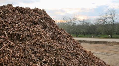 World’s First Carbon Removal Plant Converting Wood Waste To Hydrogen