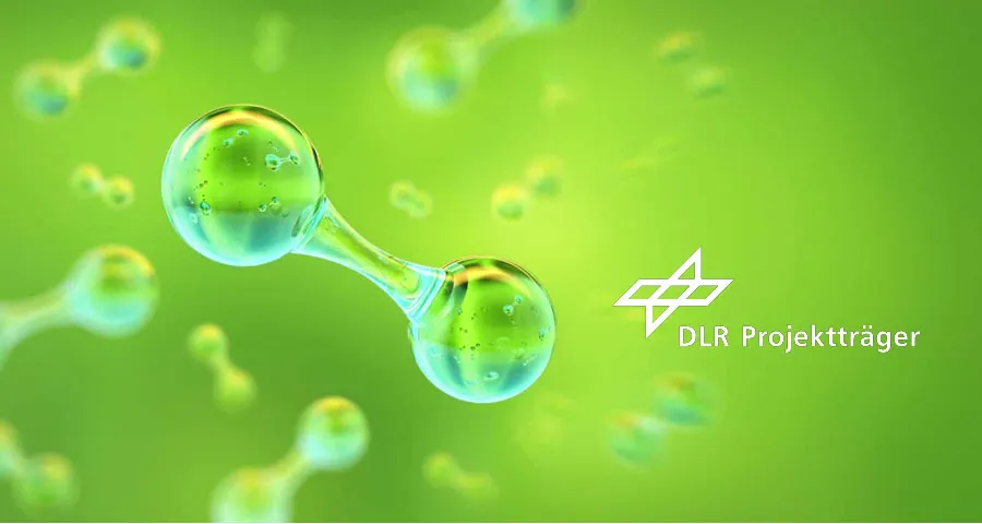 Green Hydrogen: DLR Project Management Agency Coordinates International ...