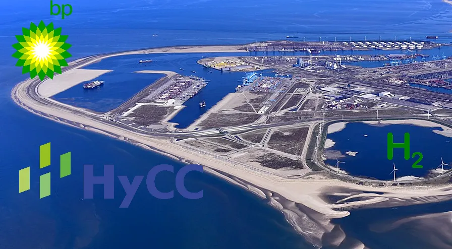 HyCC and bp to Jointly Develop Rotterdam's Largest Green Hydrogen Project