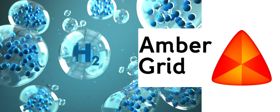 The Vision For A European Hydrogen Network Published By European ...