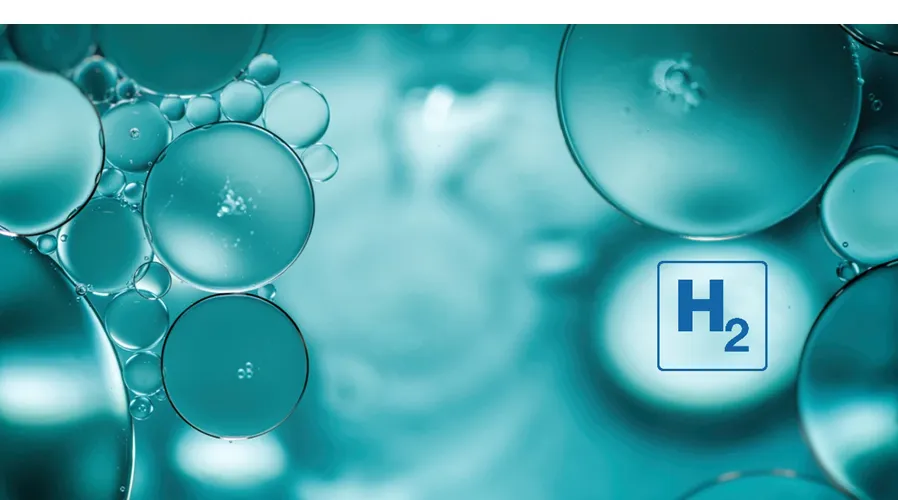 Poseidon Marine H2 Forms a Strategic Partnership With Griffith University