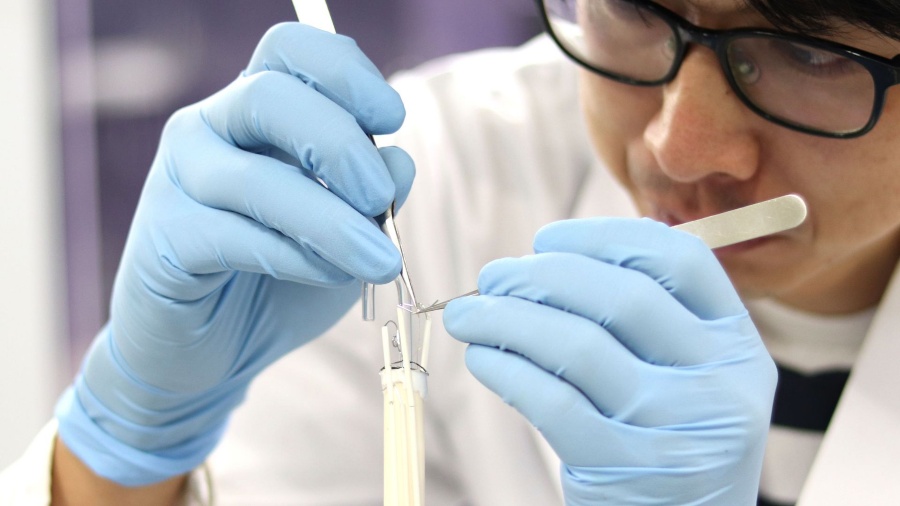 A Little Strain Goes A Long Way In Reducing Fuel Cell Performance