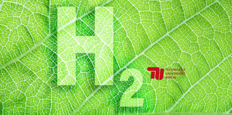 Green Hydrogen For Mass Production: TUB Receives “f-cell” Award ...