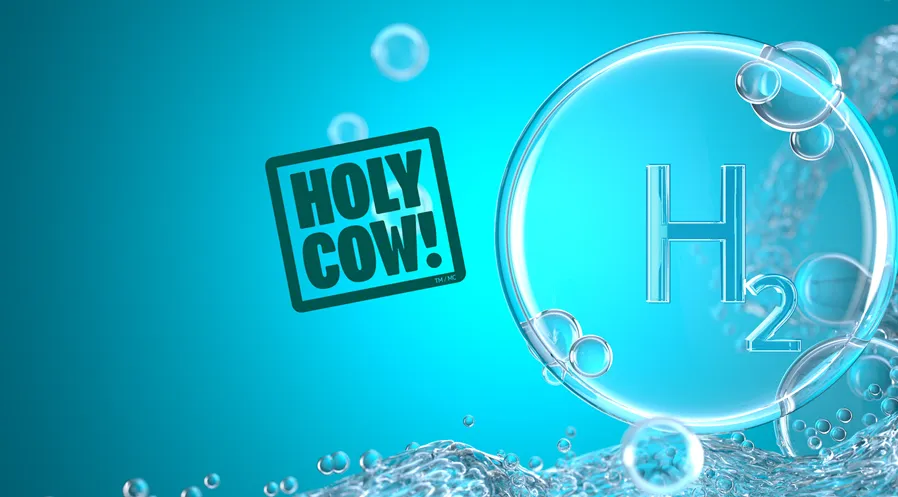 Holy Cow Foods to Develop State of the Art Fully Automated Green ...