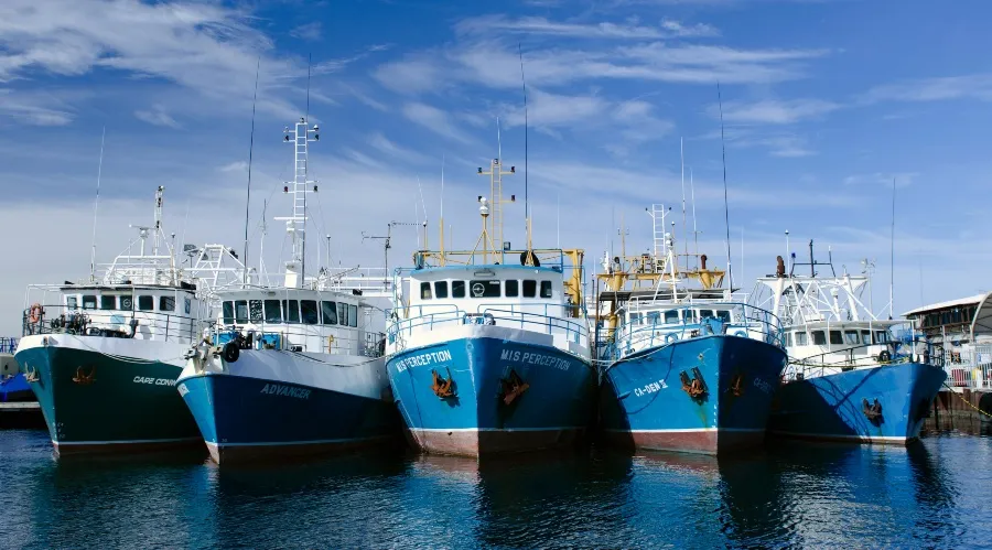 Hydrogen-Powered Fishing Vessel Bringing Sustainability to Seafood