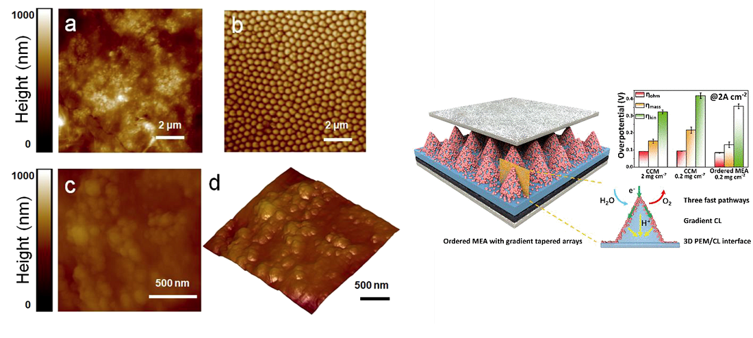 China: Novel Ordered Membrane Electrode Assembly Proposed For High ...