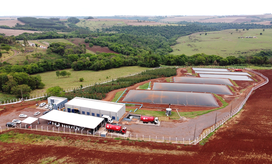 Brazil: Copel Celebrates The Participation Of 53 Companies In The ...