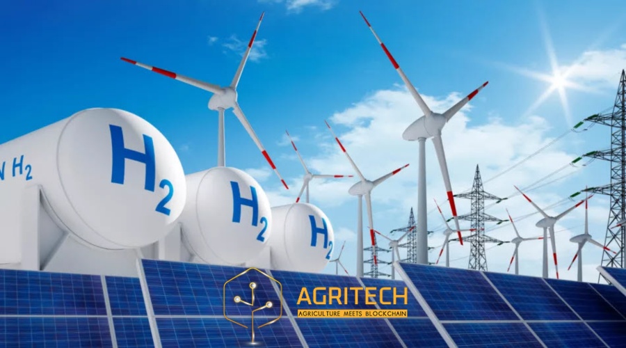 Agritech And Telfort Collaborate To Reconstruct Haiti With Renewable ...