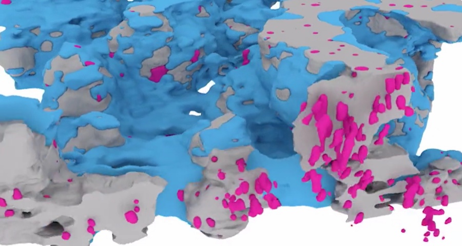 Cryo-Imaging Lifts The Lid On Fuel Cell Catalyst Layers