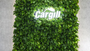 Cargill And H2 Green Steel Sign Multi-Year Offtake Contract To Supply ...