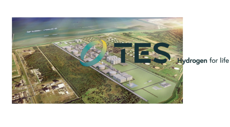 Tree Energy Solutions Targets Becoming The Tesla Of Green Hydrogen
