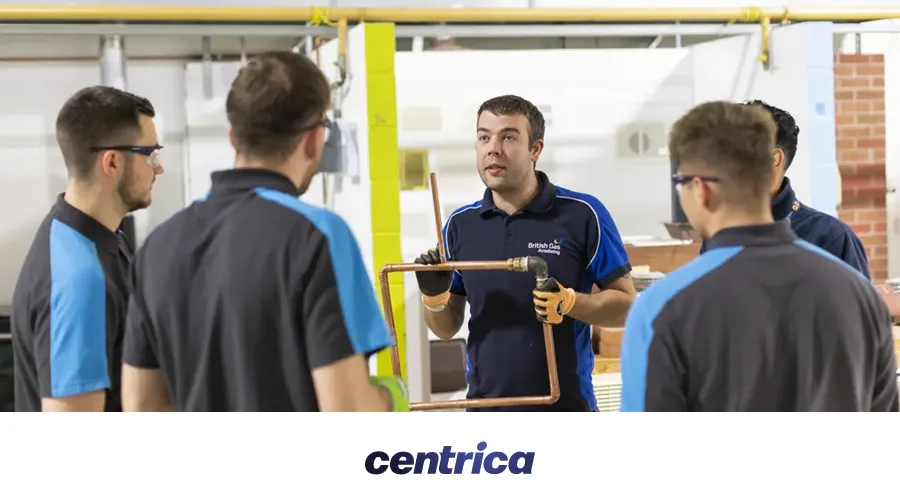 Centrica: Hydrogen, Not Just Heat Pumps, Key to Decarbonising Homes ...