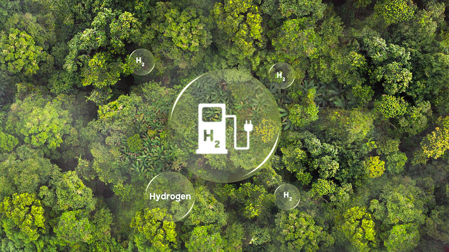 TES Welcome The New Update Of The Hydrogen Strategy By The German ...