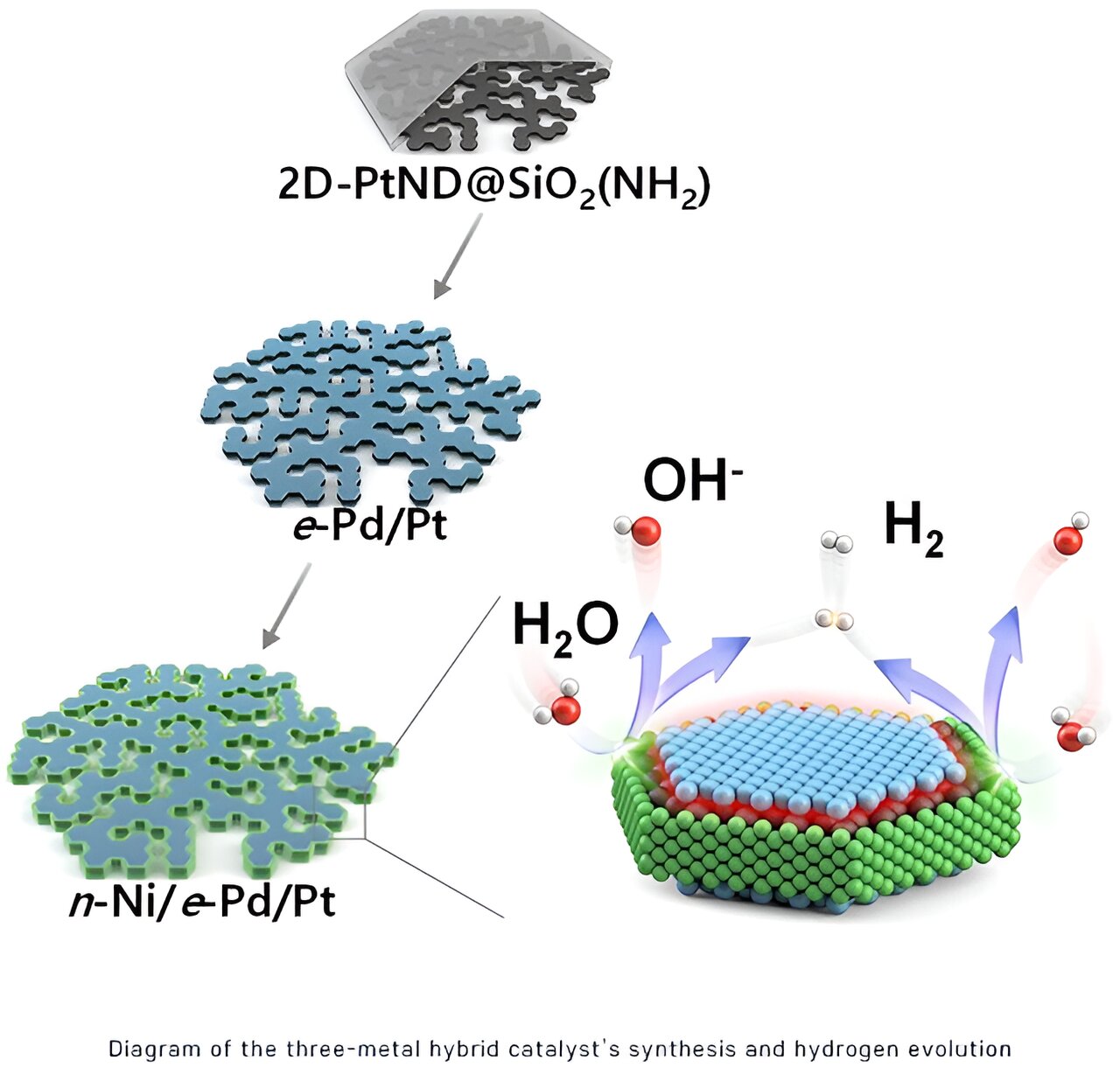 Research Team Enhances Hydrogen Evolution Catalyst Through Stepwise ...
