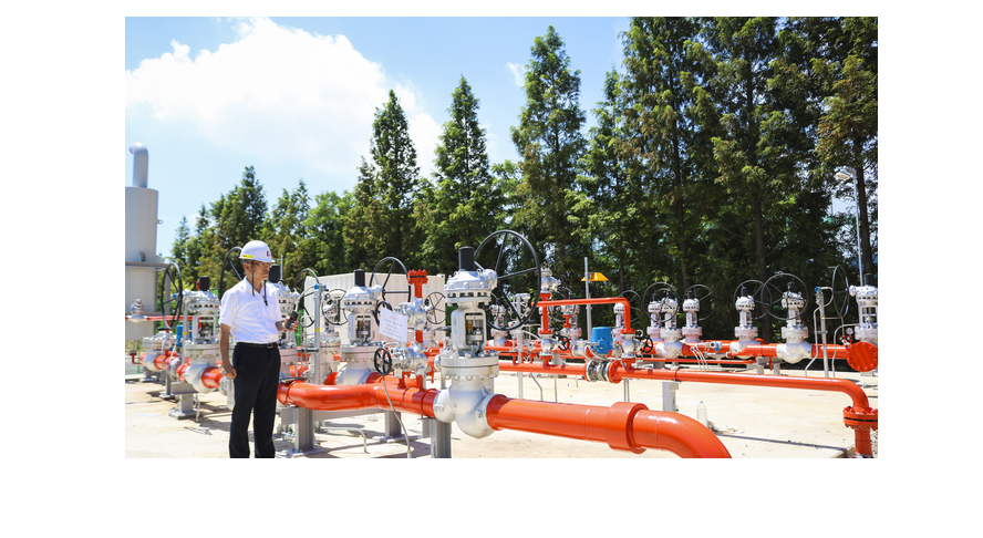 The Ansan Blueprint: A City's Ambitious Journey To Be The Hydrogen Hub ...