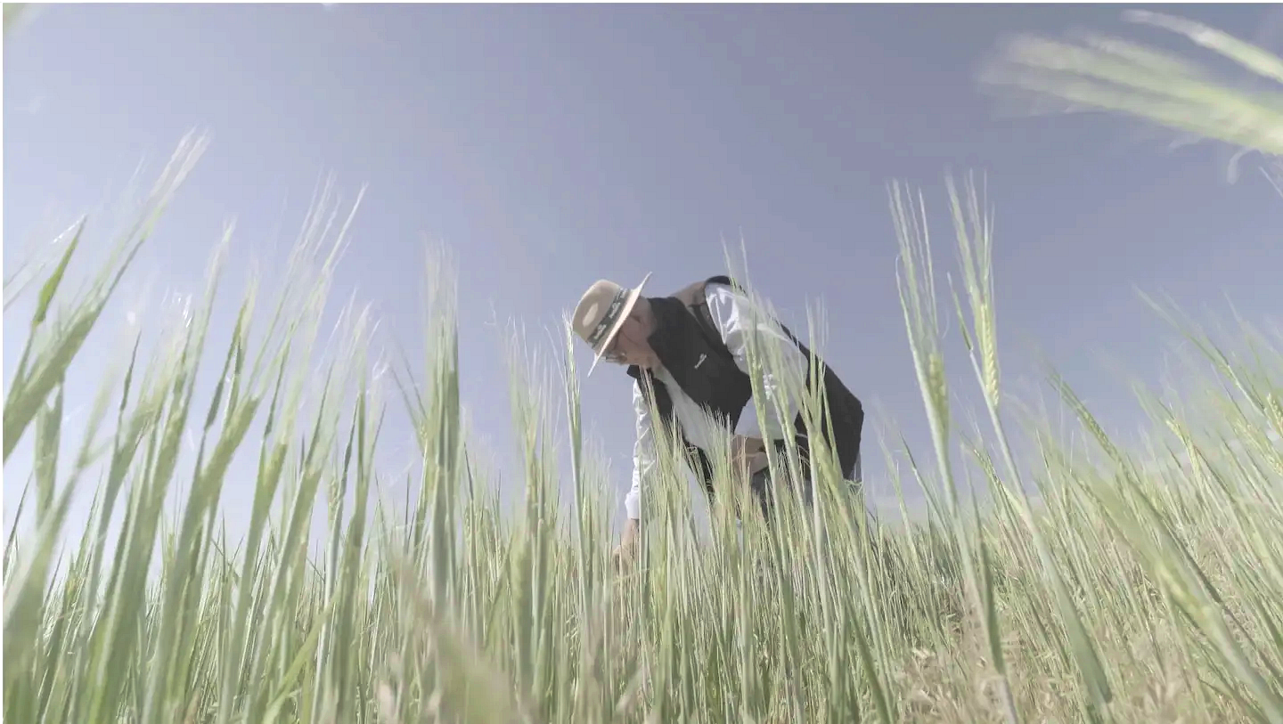 Fertiberia And Heineken Spain Develop Green Hydrogen Fertilizers In An ...