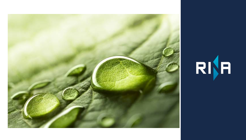 European Commission Backs RINA’s Hydra Project To Drive 100% Hydrogen ...