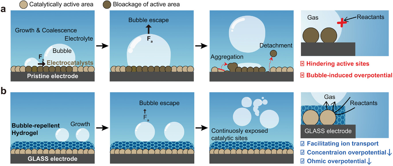 Breakthrough Hydrogel Technology Boosts Efficiency And Stability Of Gas ...