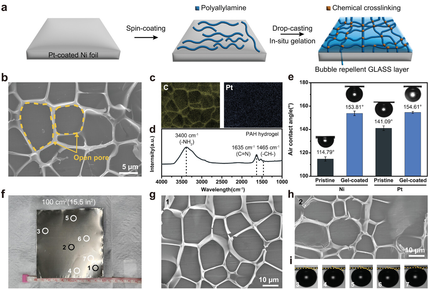 Breakthrough Hydrogel Technology Boosts Efficiency And Stability Of Gas ...