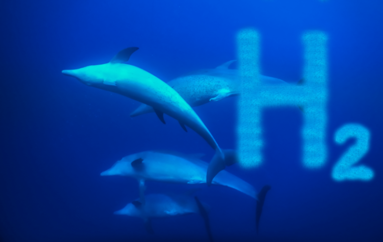 They Develop A New ‘Submarine Solar Cell’ For The Direct ...