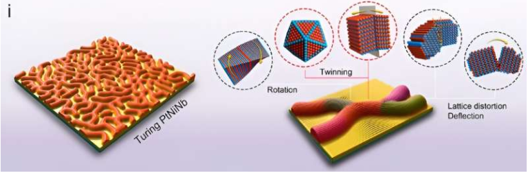 Revolutionizing Stable And Efficient Catalysts With Turing Structures ...