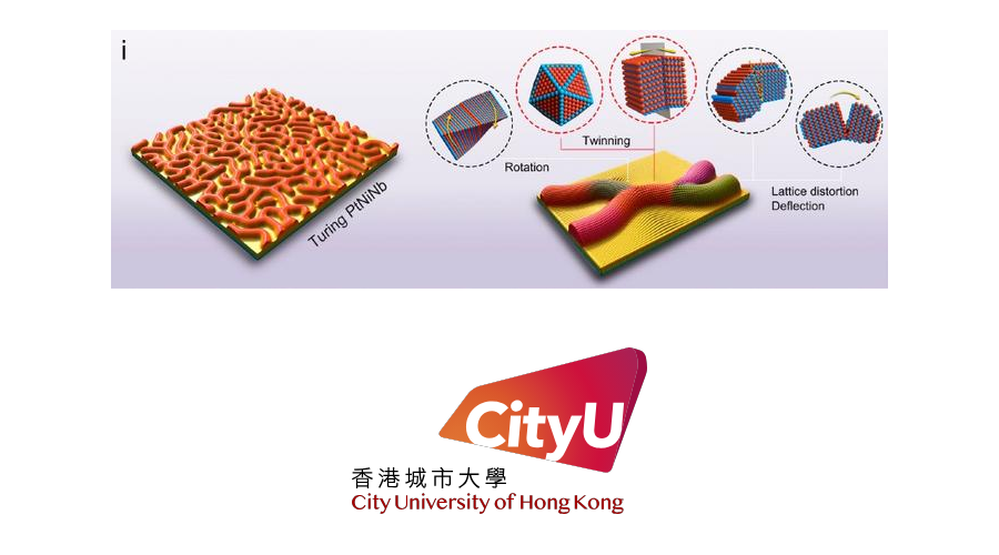 Revolutionizing Stable And Efficient Catalysts With Turing Structures For Hydrogen Production ...