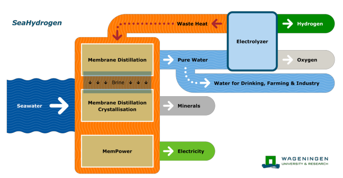 SeaHydrogen: Combining Hydrogen, Fresh Water, Minerals And Electricity ...