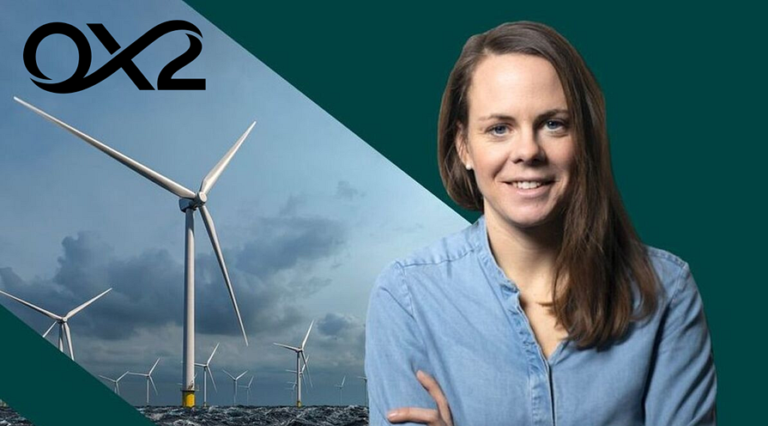 Ikea Group Sets Sights On World's Largest Offshore Wind-to-Hydrogen Hub ...