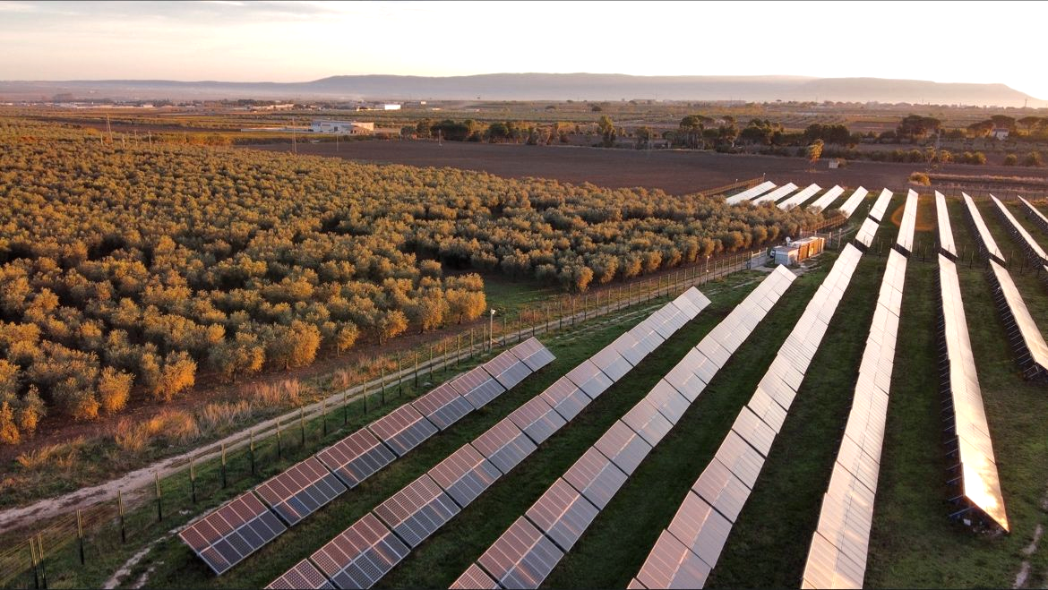 Ravenna Spearheads 'Green Hydra' Project: A €2 Million Leap Into Green ...