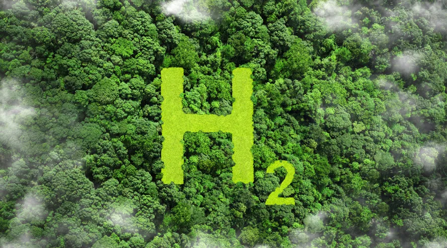 Start of Study to Build Japan’s Largest Green Hydrogen Supply Chain in ...
