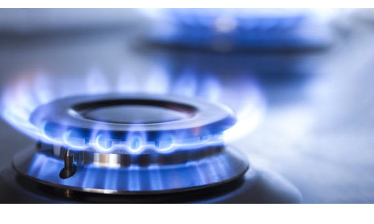 NTPC's NETRA Successfully Demonstrates Hydrogen Cooking Using Green ...