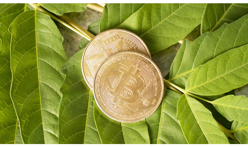 Crypto, Green Hydrogen Form ‘Dynamic Duo’ To Thwart Climate Change ...