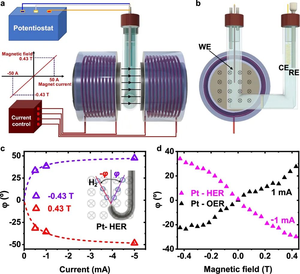 Study Shows Magnetic Fields Boosts Electrocatalysis for Sustainable ...
