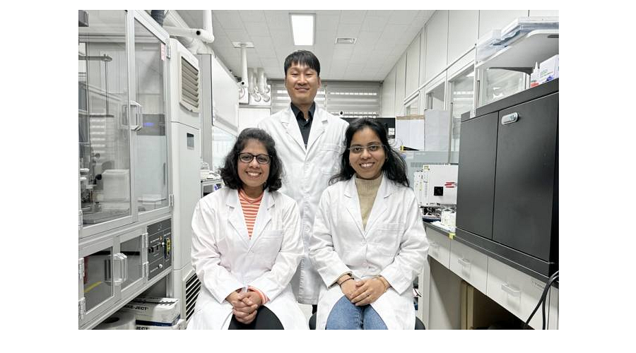 Chonbuk National University Develops Bokham Photocatalyst: A New Method ...