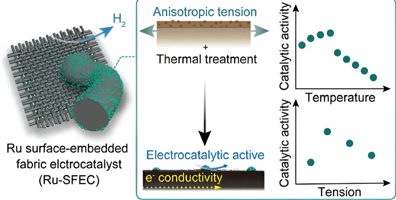 Enhancing Green Hydrogen Production With Robust Carbon Fabric ...