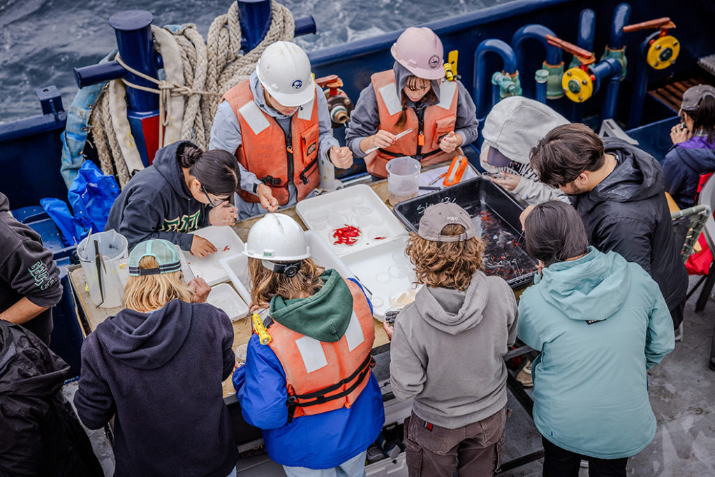 Design Of World’s First Hydrogen-Hybrid Research Vessel Approved ...