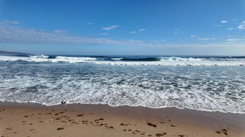 Sea Based and the BIDC Sign Mou for Wave Power Park to Fuel Green ...