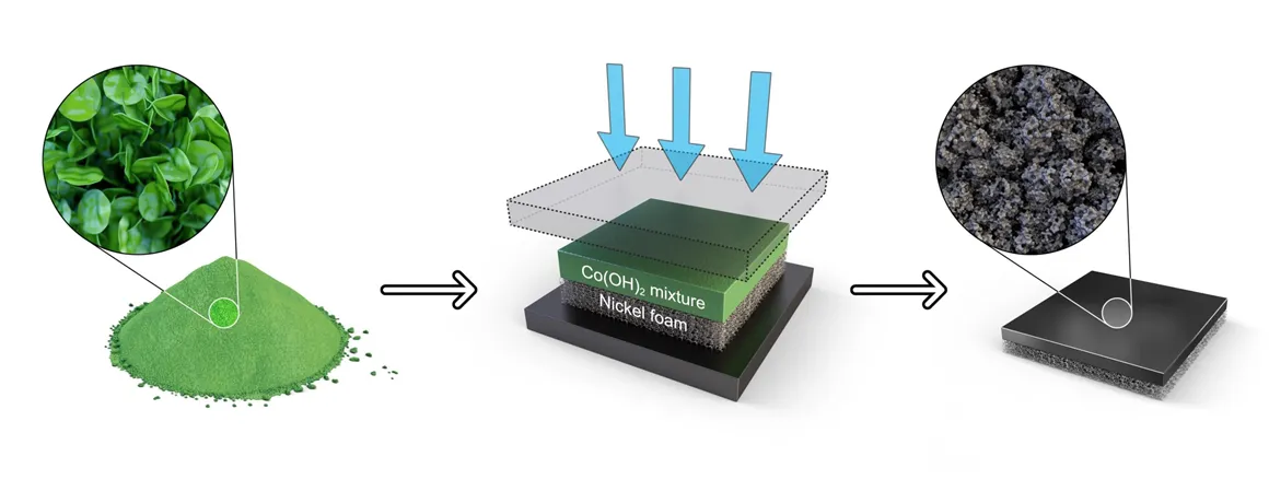 One-Step Process Simplifies Electrode Fabrication for Water Electrolysis