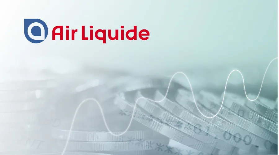 Air Liquide H1 2024 Results Strong Margin Improvement And Major